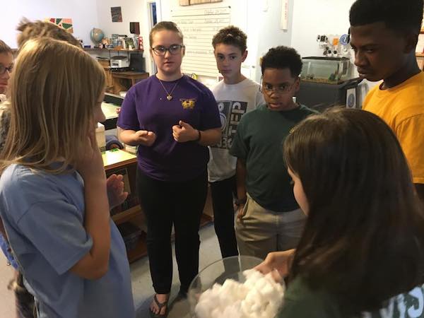 Cotton Ball Transfer | FLL Tutorials